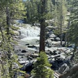 Bassi Falls, California - 2,906 Reviews, Map | AllTrails