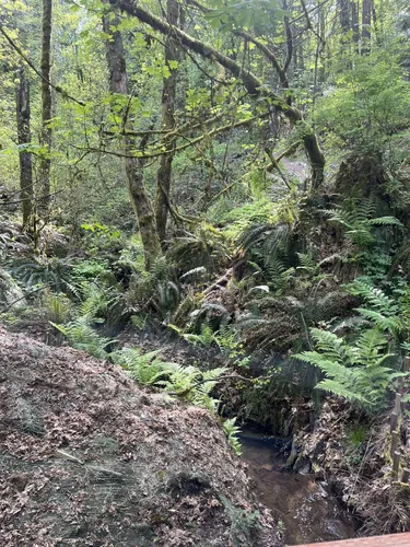 Best Short Trails in Tigard | AllTrails