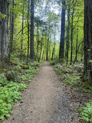 Best Short Trails in Tigard | AllTrails