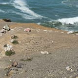 Mori Point Loop Trail, California - 5,004 Reviews, Map | AllTrails