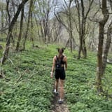 Maple Canyon to Whiting Campground, Utah - 607 Reviews, Map | AllTrails