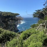 Point Lobos Loop, California - 7,588 Reviews, Map | AllTrails