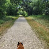 Cibolo Creek Main Trail, Texas - 667 Reviews, Map | AllTrails