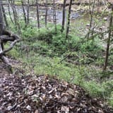 Shawnee State Park North Loop, Ohio - 189 Reviews, Map | AllTrails