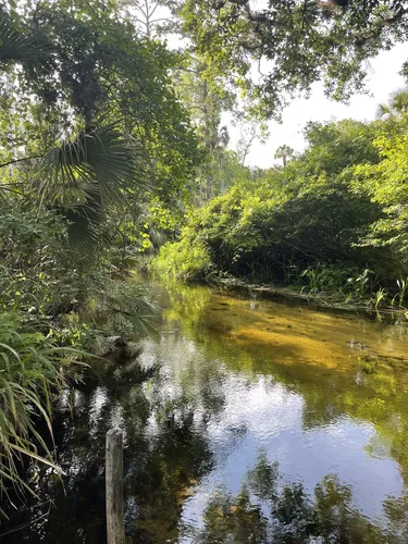 Best Views Trails in Wekiwa Springs State Park | AllTrails