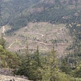 Wesley Ridge, British Columbia, Canada - 776 Reviews, Map | AllTrails