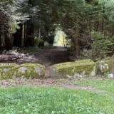 Tolt Pipeline Trail, Washington - 353 Reviews, Map | AllTrails