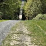 Tolt Pipeline Trail, Washington - 353 Reviews, Map | AllTrails