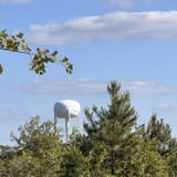 Lost Pines Trail, Texas - 683 Reviews, Map | AllTrails
