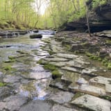 Machine Falls, Adams Falls, Busby Falls and Laurel Bluff Loop ...