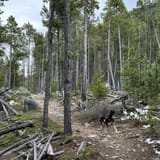 Silver Run Loop Trail, Montana - 567 Reviews, Map | AllTrails