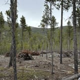 Silver Run Loop Trail, Montana - 567 Reviews, Map | AllTrails