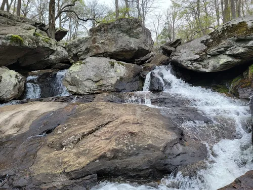 Best Walking Trails in Cunningham Falls State Park | AllTrails