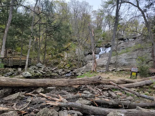 Best Walking Trails in Cunningham Falls State Park | AllTrails