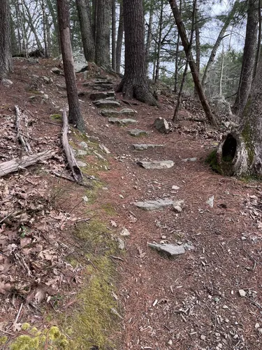 Best River Trails in North Andover | AllTrails