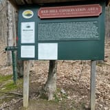 Red Hill Fire Tower Loop Trail, New Hampshire - 1,317 Reviews, Map ...