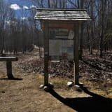 Bald Pate Mountain Trails, Maine - 854 Reviews, Map | AllTrails