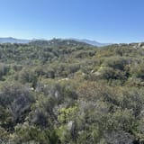 Morgan Trail, California - 536 Reviews, Map | AllTrails