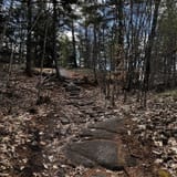 Bald Pate Mountain Trails, Maine - 854 Reviews, Map | AllTrails
