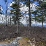 Bald Pate Mountain Trails, Maine - 854 Reviews, Map | AllTrails