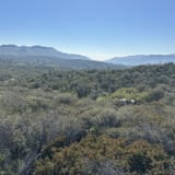 Morgan Trail, California - 536 Reviews, Map | AllTrails