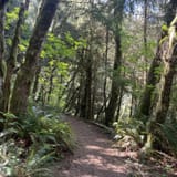 Cook's Ridge and Gwynn Creek Loop, Oregon - 840 Reviews, Map | AllTrails