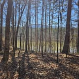 Trail of the Muscogee, Georgia - 556 Reviews, Map | AllTrails