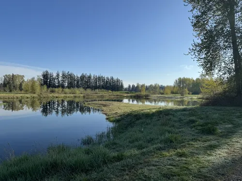 Best Hikes and Trails in Jackman Wetlands Park | AllTrails