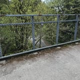 Tolt Pipeline Trail, Washington - 353 Reviews, Map | AllTrails