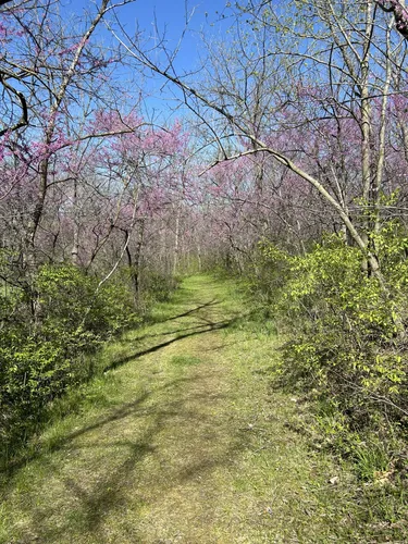 Best Hikes and Trails in Chariton | AllTrails