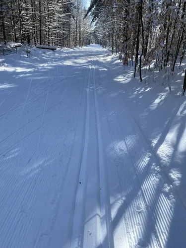 Best Hikes and Trails in Bourget | AllTrails
