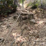 Compression Falls Trail, North Carolina - 338 Reviews, Map | AllTrails