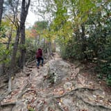 Compression Falls Trail, North Carolina - 352 Reviews, Map | AllTrails