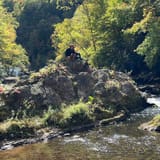 Compression Falls Trail, North Carolina - 384 Reviews, Map | AllTrails