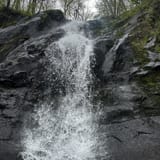 Jones Run Falls Trail, Virginia - 840 Reviews, Map | AllTrails