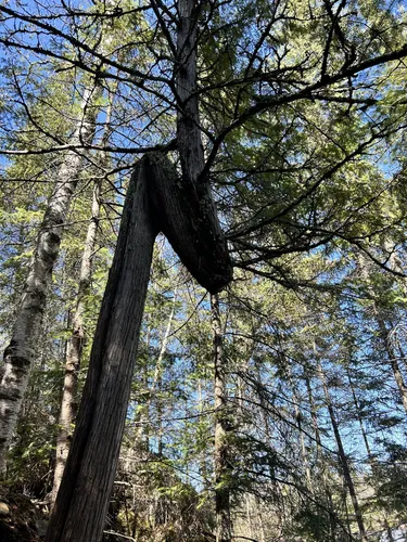 Best Cave Trails in Manitoba | AllTrails