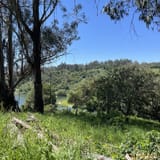Lake Chabot Loop via West, Bass, Columbine, Honker, East Shore Trails ...
