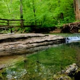 Machine Falls, Adams Falls, Busby Falls and Laurel Bluff Loop ...