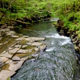 Machine Falls, Adams Falls, Busby Falls and Laurel Bluff Loop ...