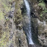 Trail 121: Waterfall Loop, Washington - 963 Reviews, Map | AllTrails