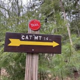 Cat and Thomas Mountain Trail, New York - 1,469 Reviews, Map | AllTrails