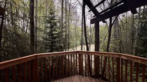 Best Forest Trails in Bothell | AllTrails