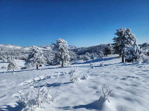 Best Long Trails in White Ranch Park | AllTrails