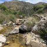 Romero Canyon Trail to Romero Pools, Arizona - 3,854 Reviews, Map ...