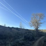 Keystone Canyon Trail, Nevada - 1,213 Reviews, Map | AllTrails