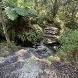 The Canyon (Lorne Waterfalls Circuit), Victoria, Australia - 627 ...