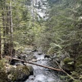 Upper Big Creek Loop, Washington - 2,732 Reviews, Map | AllTrails