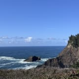 Cape Falcon Trail, Oregon - 3,747 Reviews, Map | AllTrails