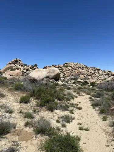 Best Off Road Driving Trails in Jacumba | AllTrails