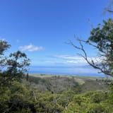 Mahana Ridge Trail, Maui, Hawaii - 1,283 Reviews, Map | AllTrails